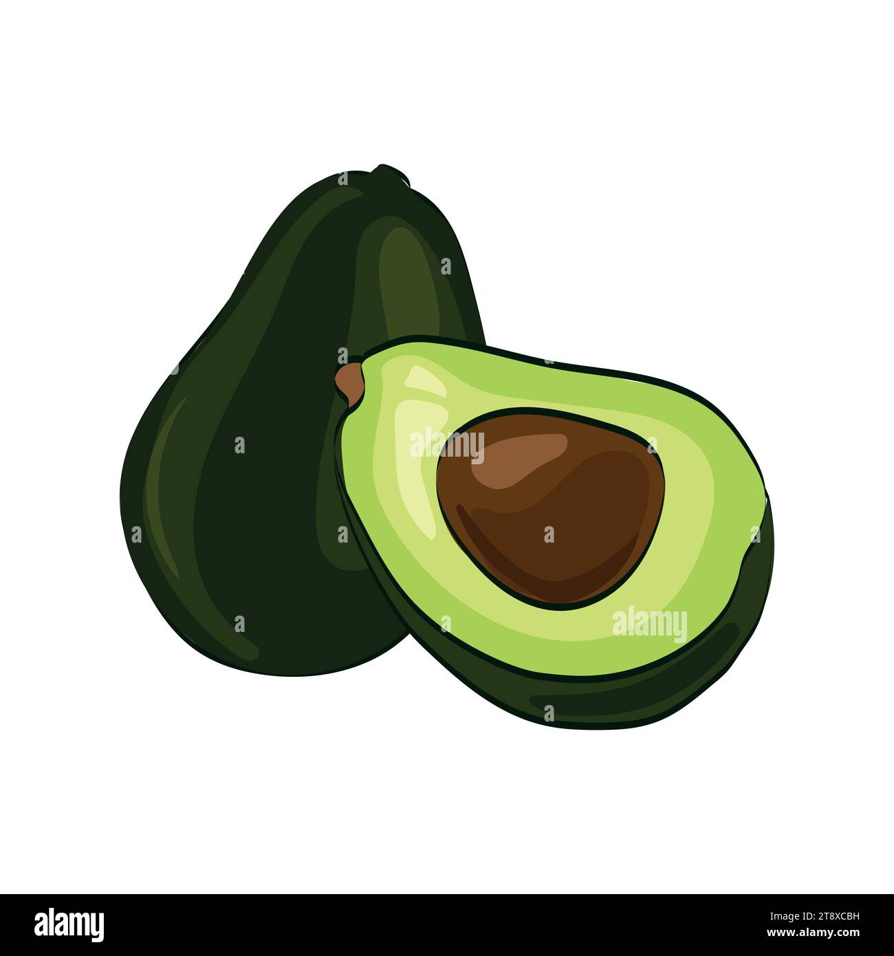 Vector simple drawing of avocado fresh fruit isolated on white ...