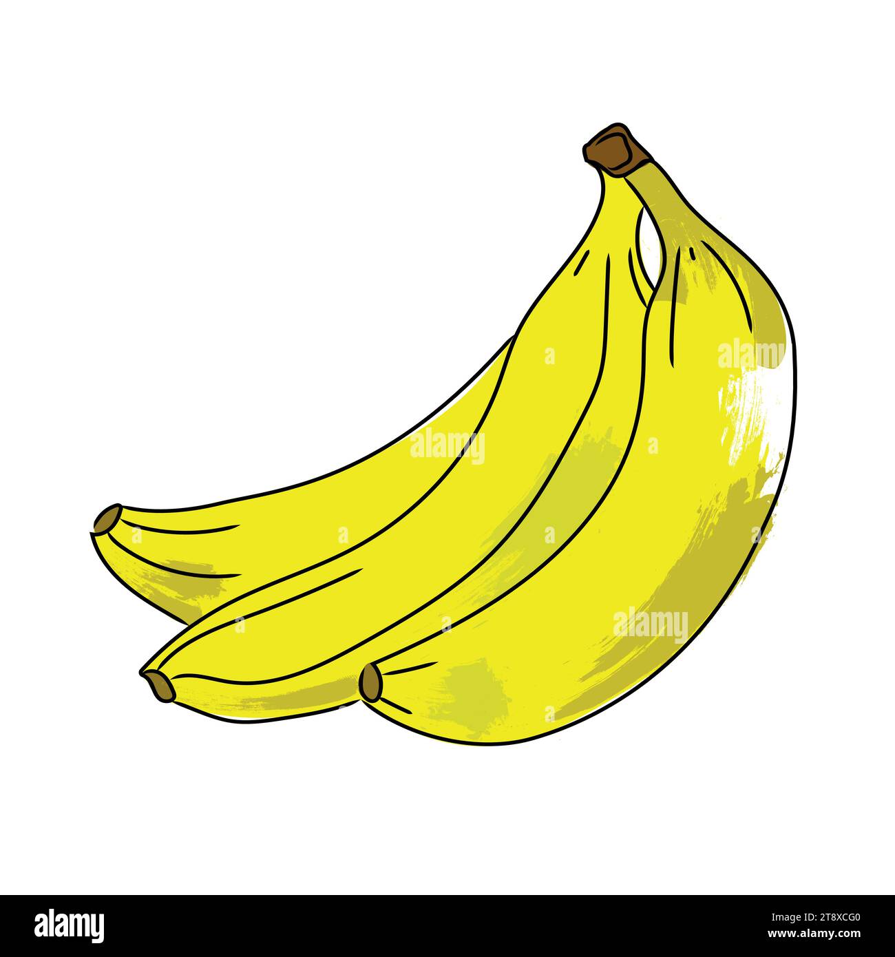 Bananas color vector sketch illustration isolated on white background ...