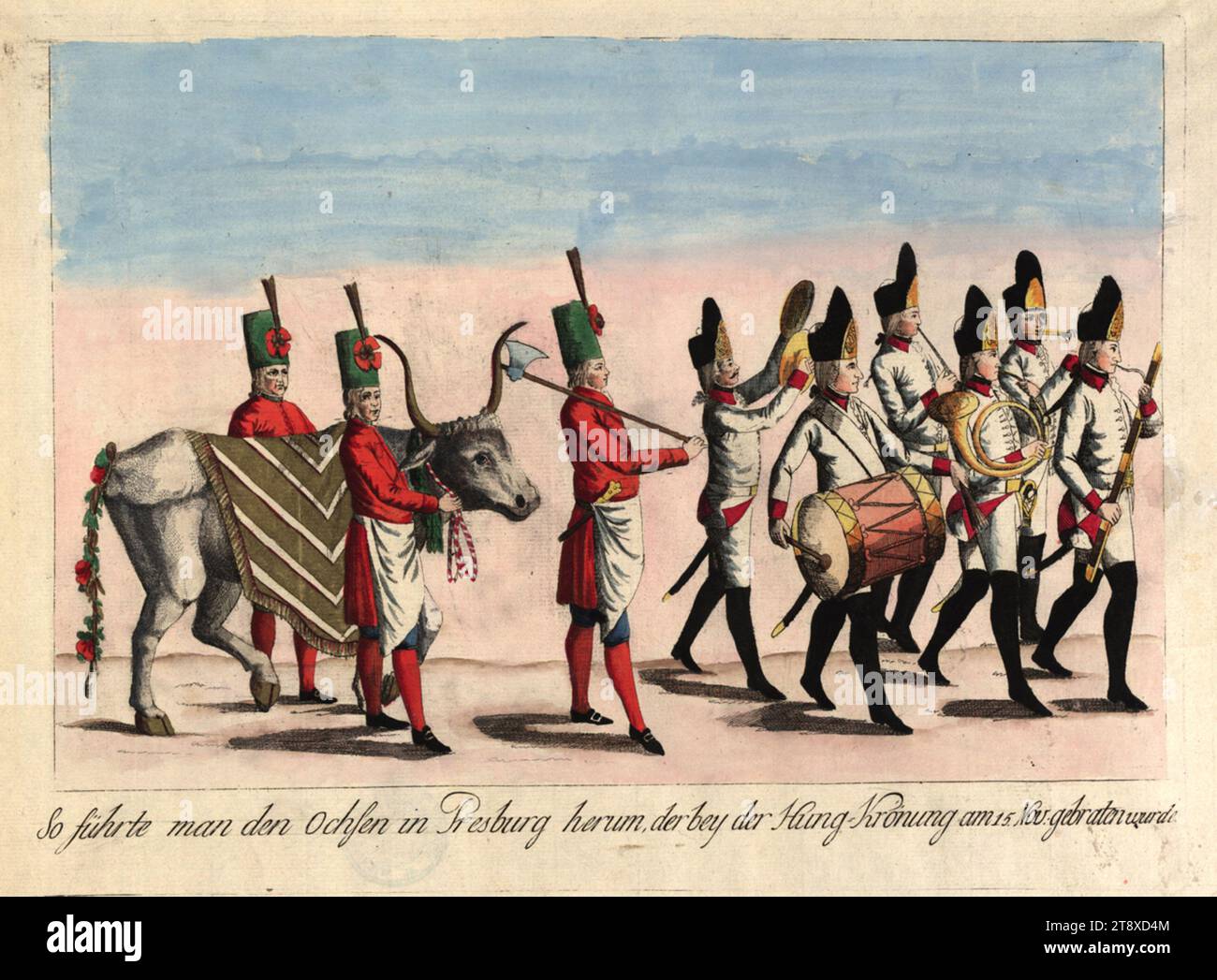 This is how the ox was led around Presburg, which was killed at the ...