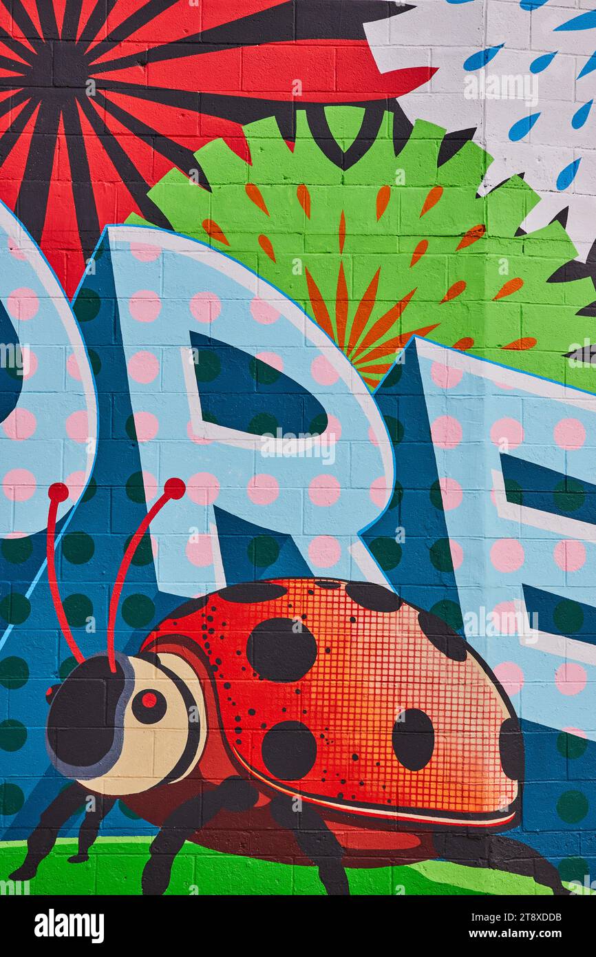 Abstract graffiti mural abstract, vibrant colors with ladybug and ...