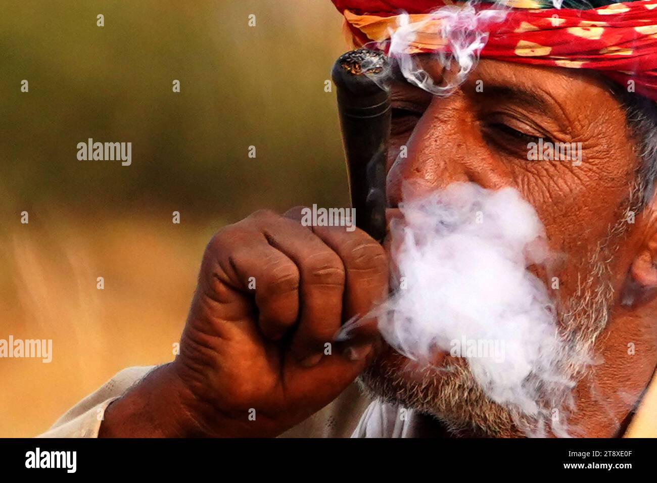 Pushkar, India. 19th Nov, 2023. A camel herder smoking cigar while ...