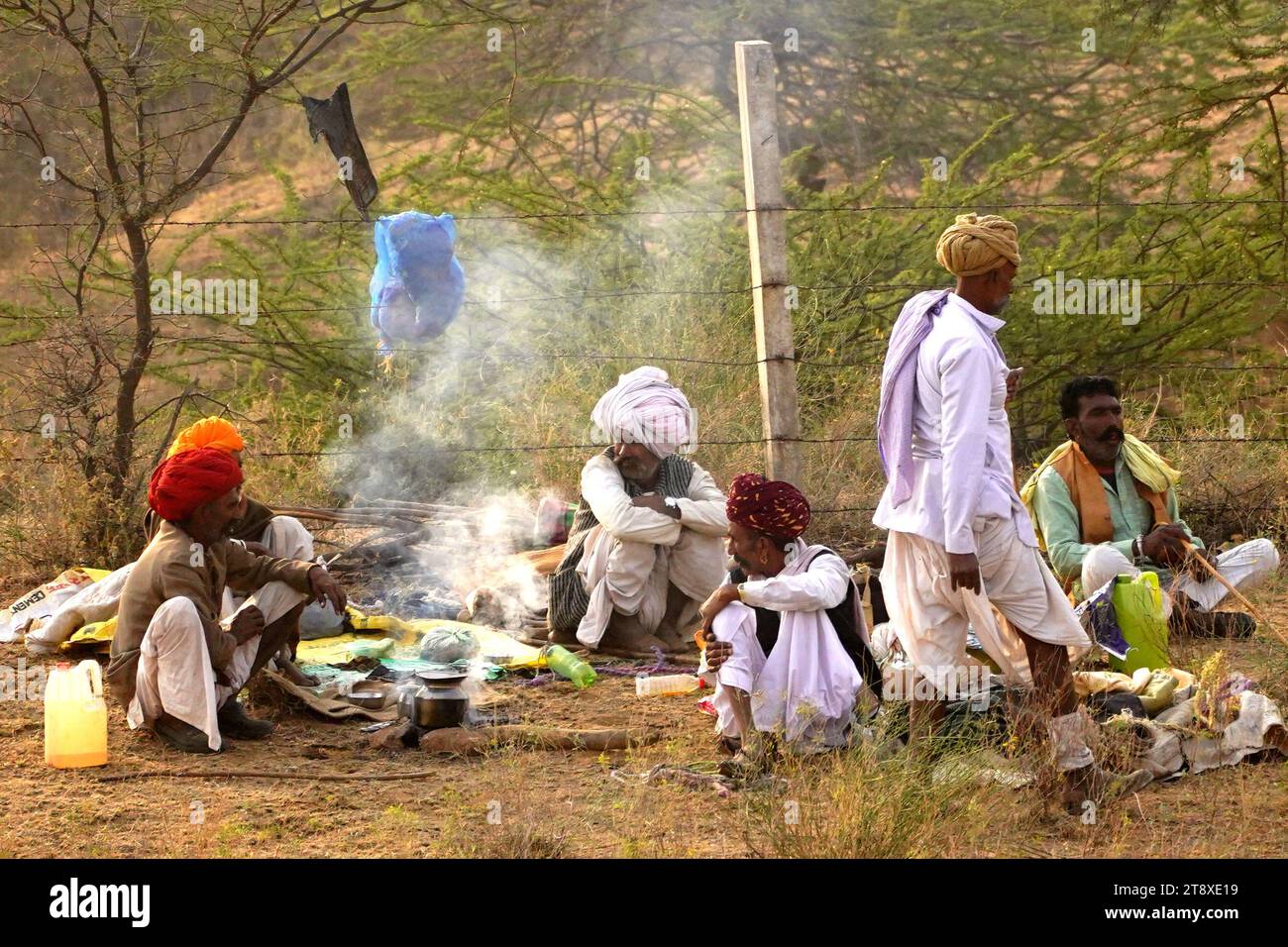 Pushkar, India. 19th Nov, 2023. A camel herder smoking cigar while ...