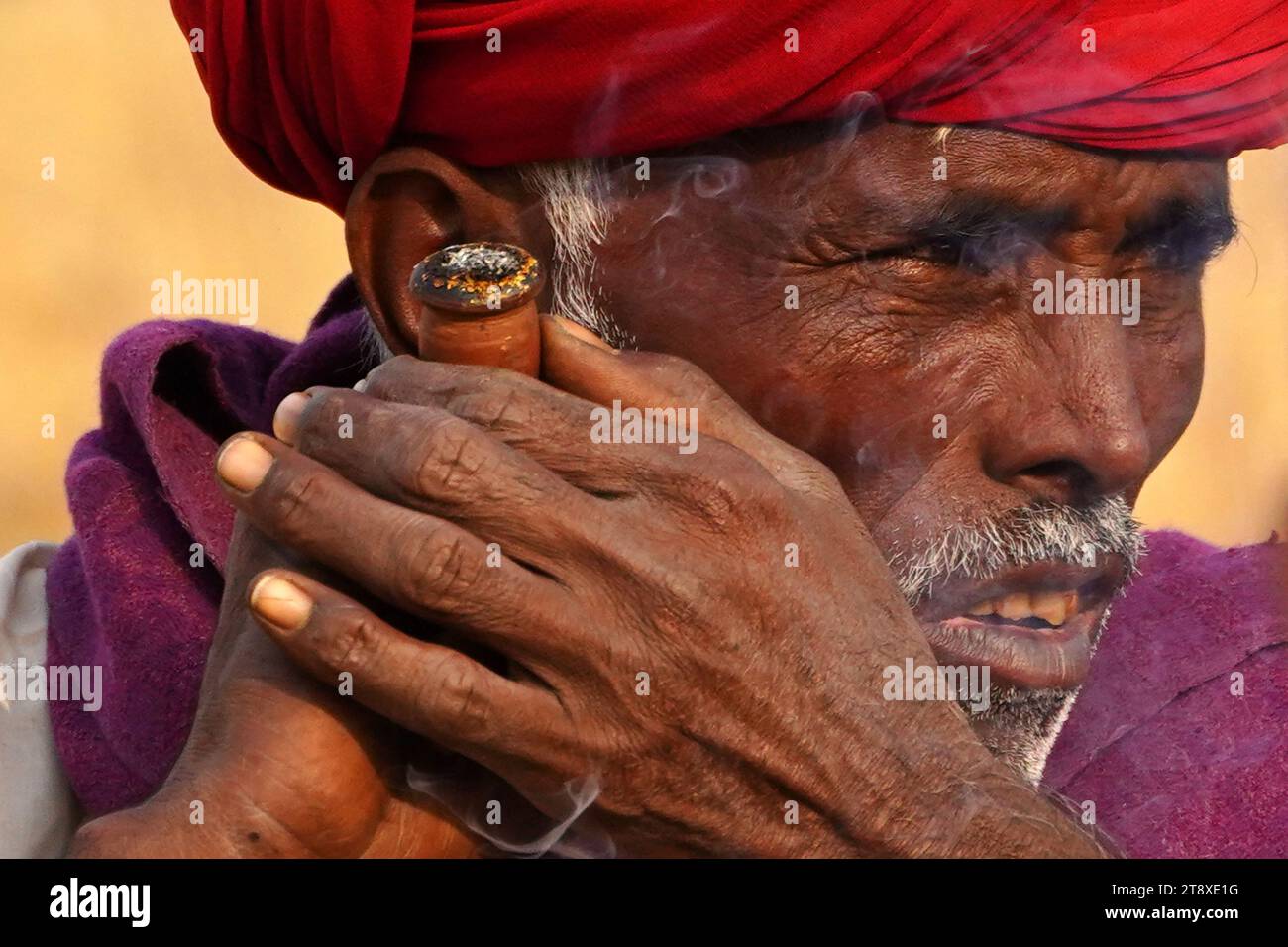 Pushkar, India. 19th Nov, 2023. A camel herder smoking cigar while ...