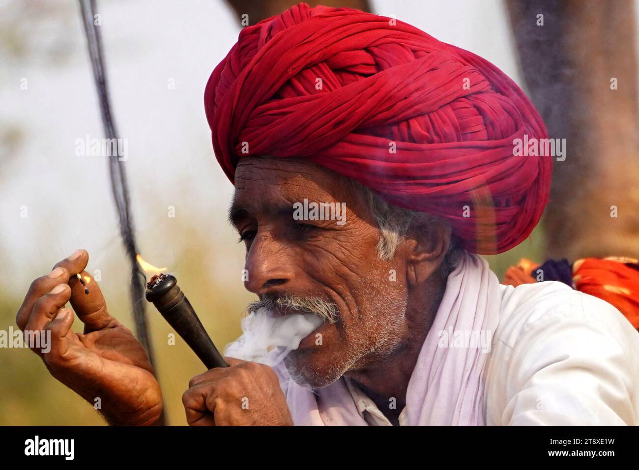 Pushkar, India. 19th Nov, 2023. A camel herder smoking cigar while ...