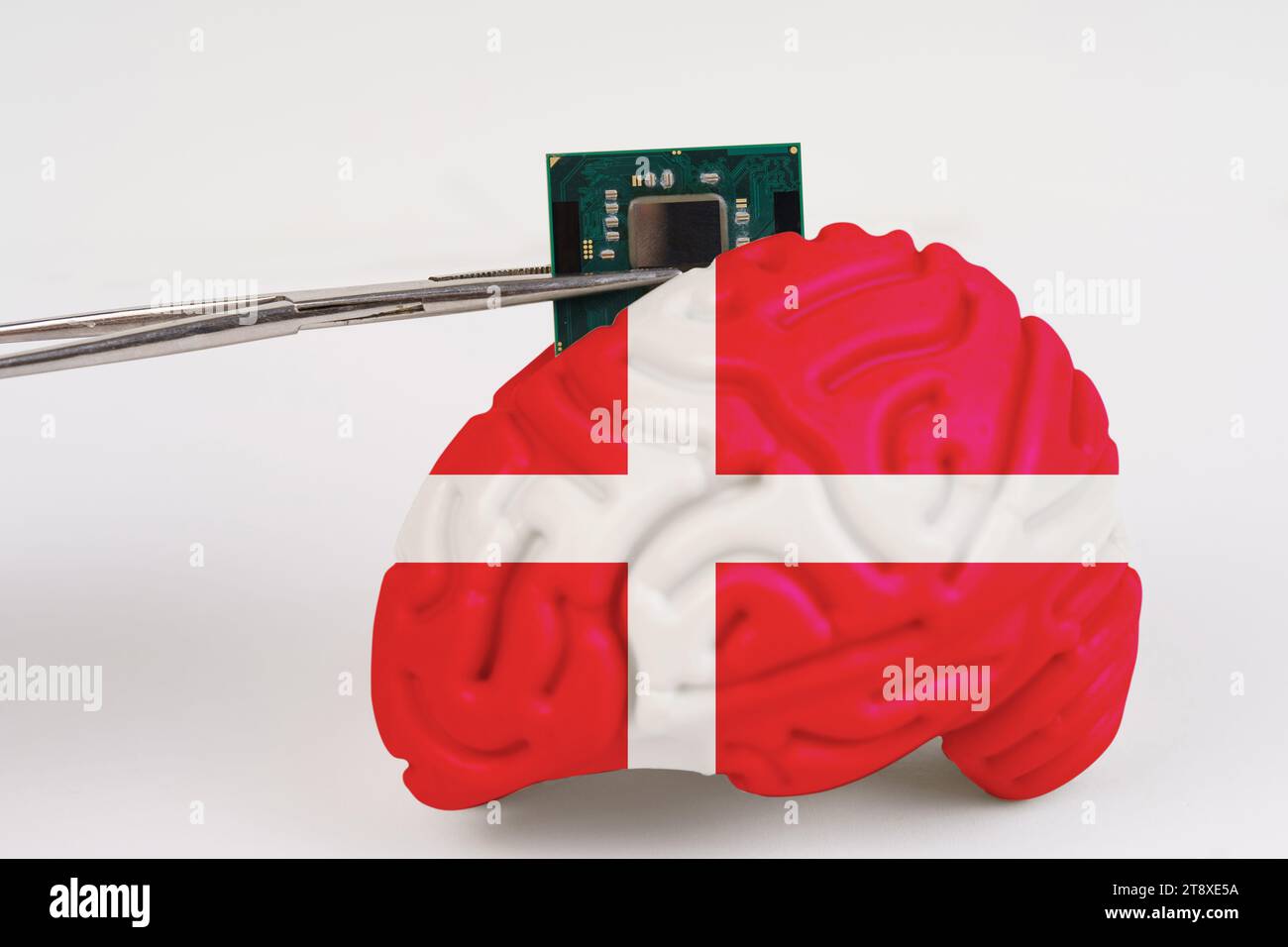 On a white background, a model of the brain with a picture of a flag ...