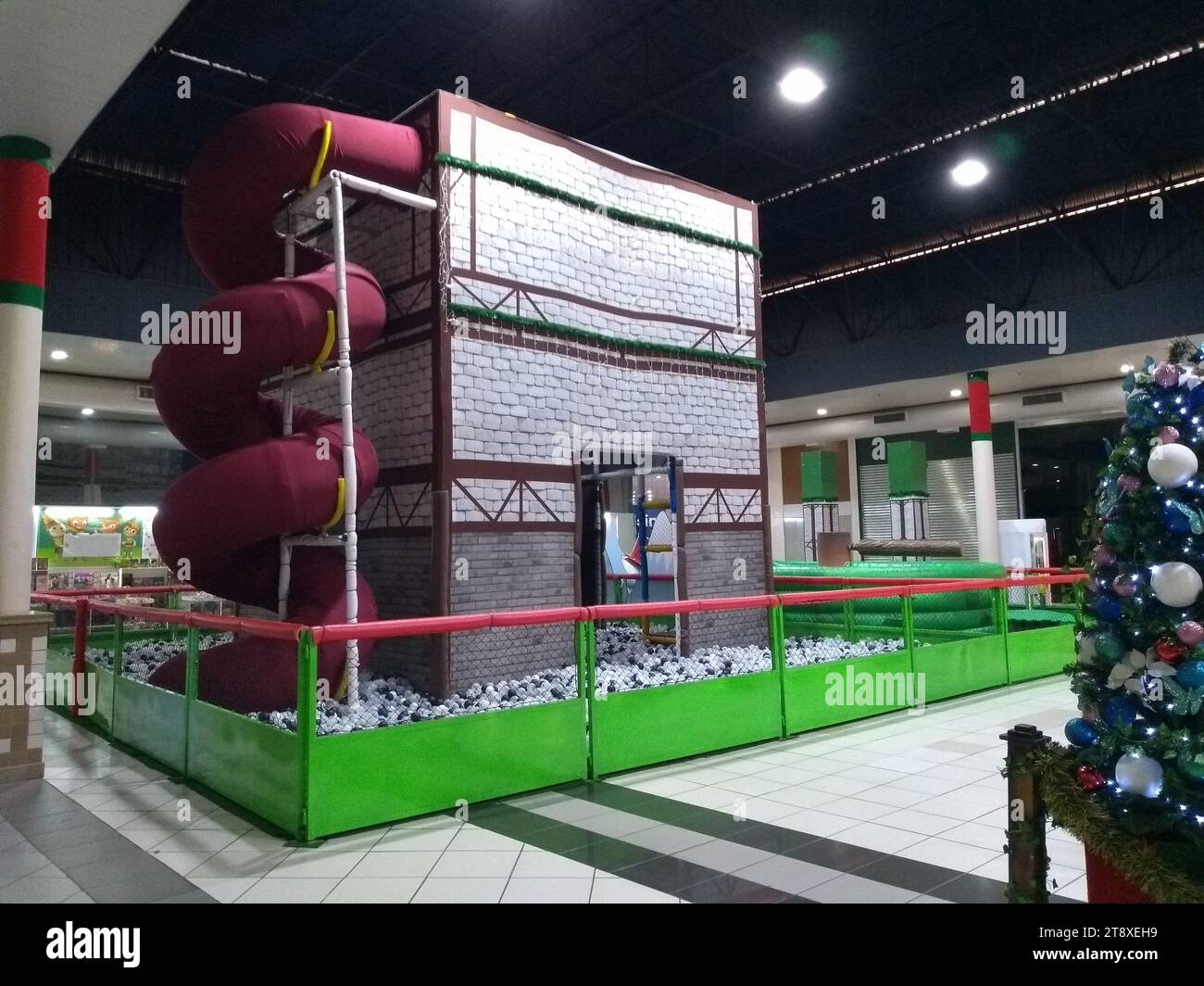 Decoration, large and small Christmas trees, panoramic view, with a ...