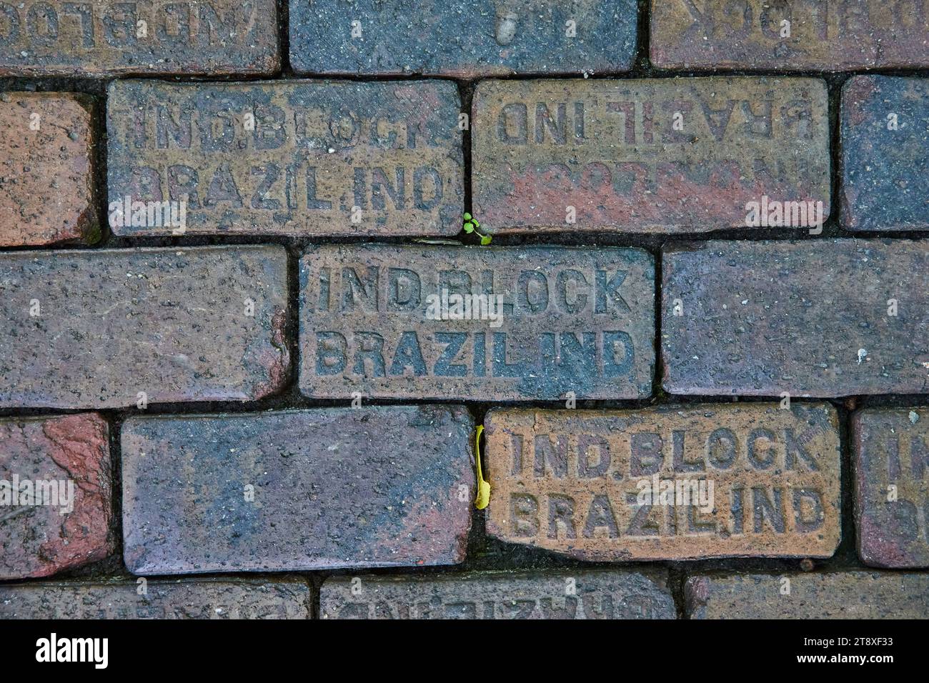 Minnetrista museum and gardens hi-res stock photography and images - Alamy