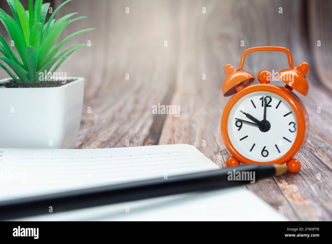 Notepad with potted plant and alarm clock set at 10 o'clock Stock Photo ...