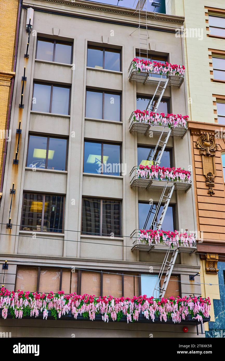 Pretty pink flowers decorate building fire escape ladders near Union ...