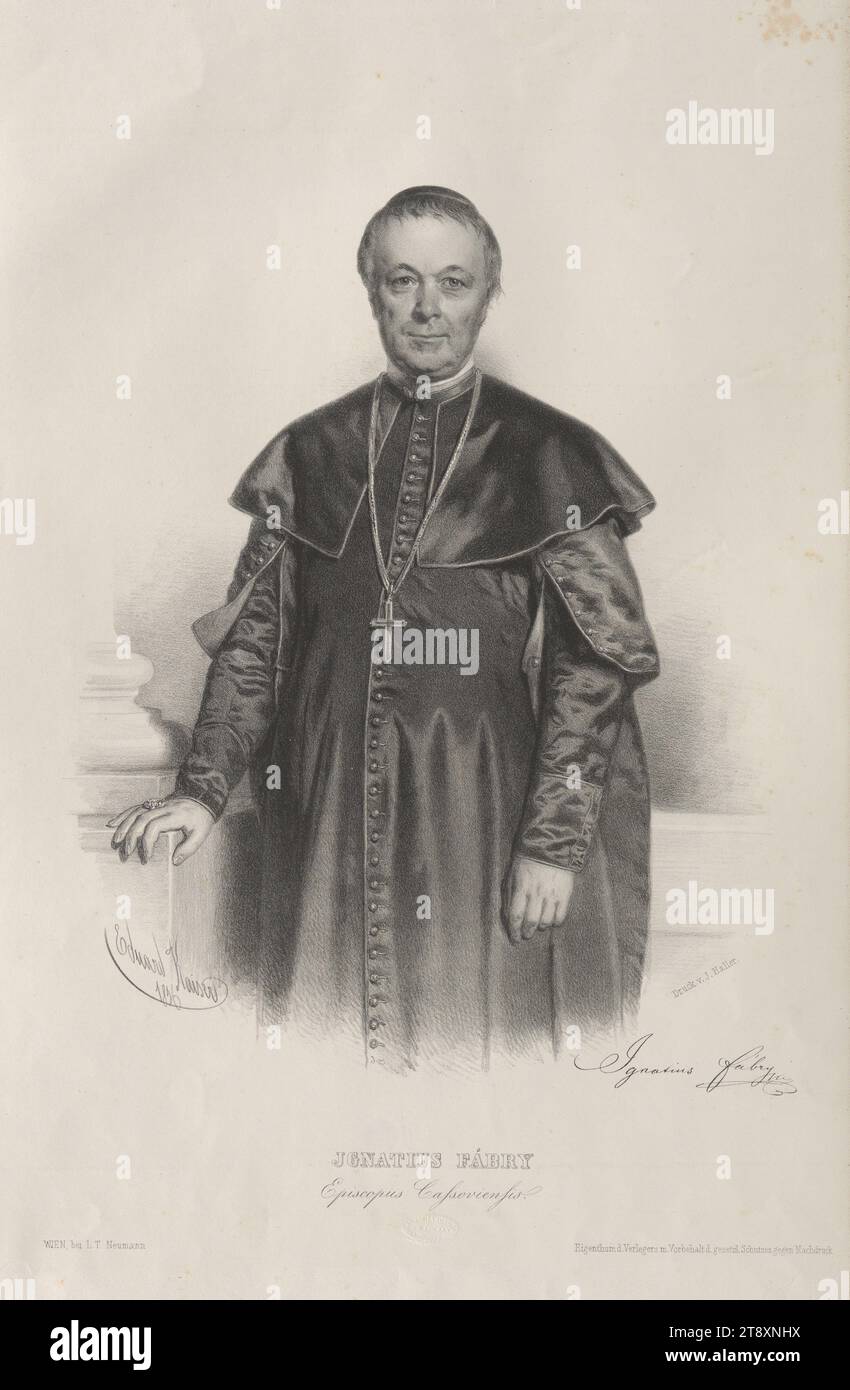 Episcopus cassoviensis hi-res stock photography and images - Alamy
