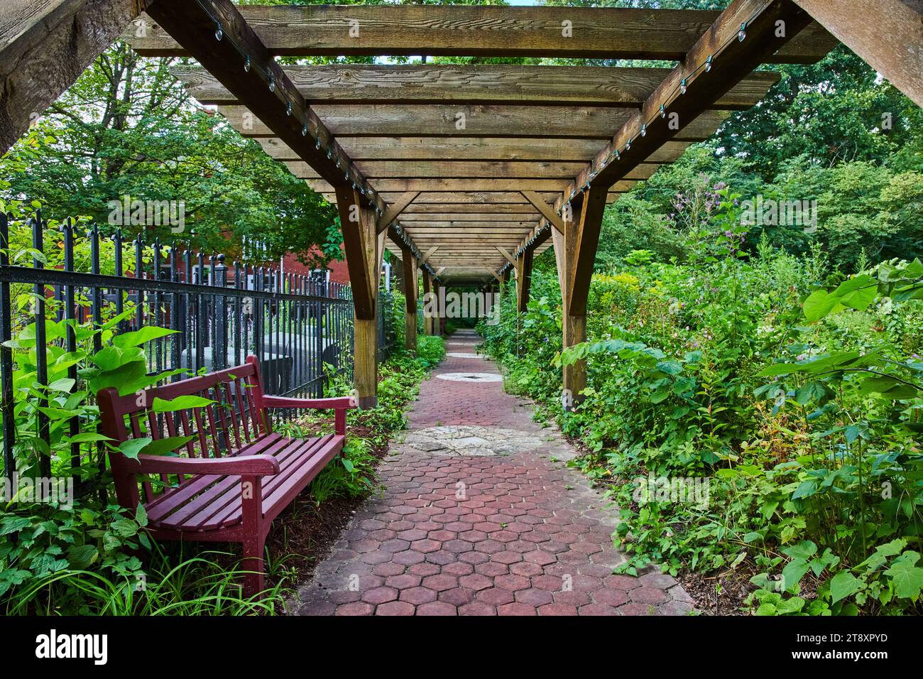 Red bench and brick pathway below wooden trellis with forest at ...