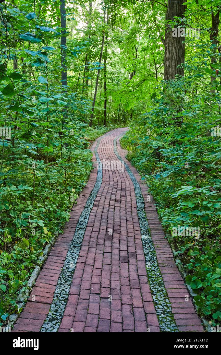 Lush green forest with red brick path through woods with gravel river ...