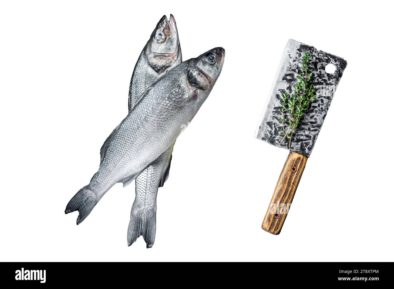 Fresh Raw Sea Bass, Labrax fish with herbs and lime. Isolated, white ...