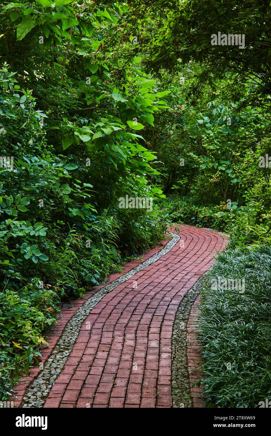 Lush green woods with red brick path through forest with gravel river ...