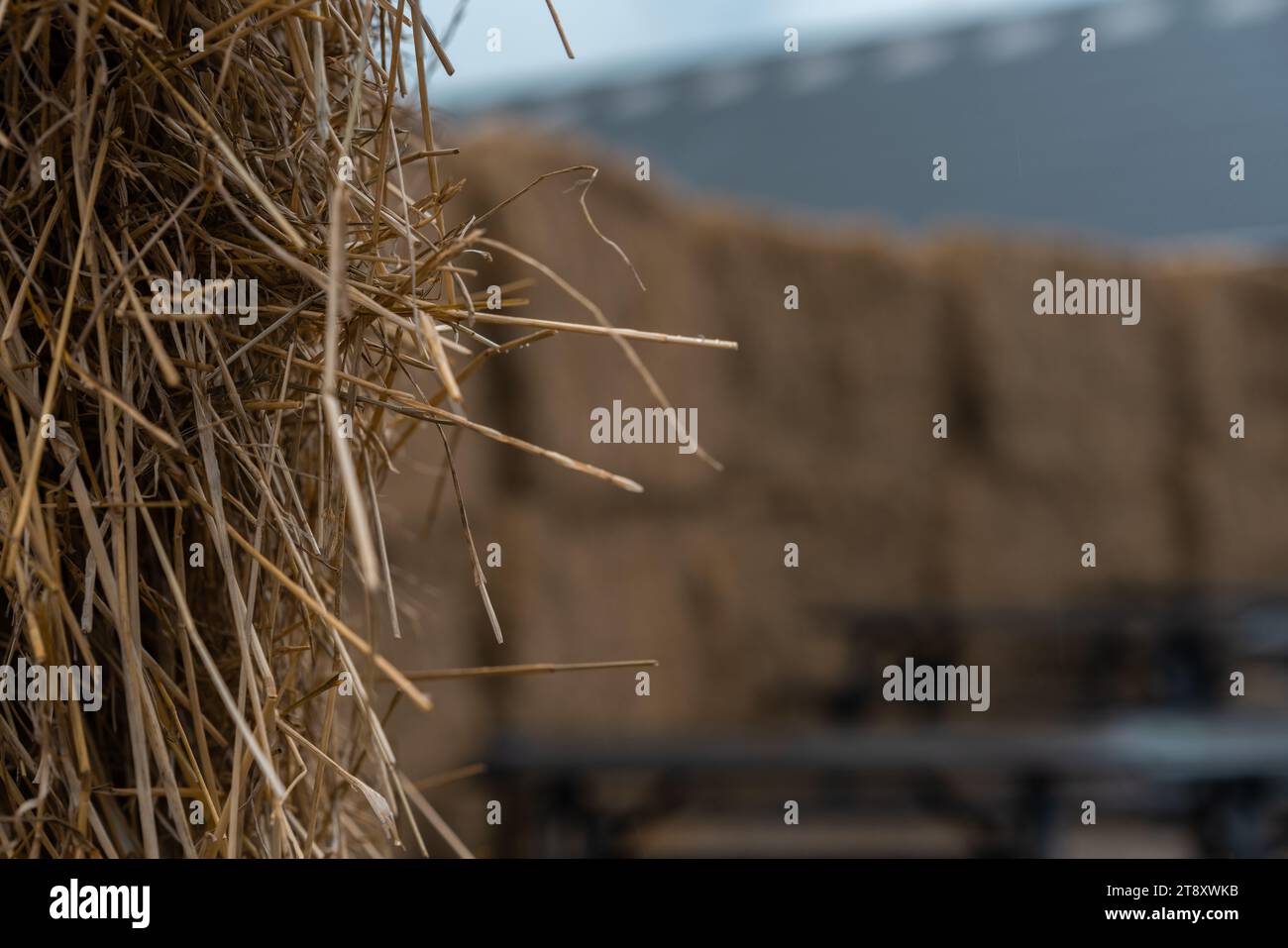 Straw barn farm fodder hay storage hi-res stock photography and images ...
