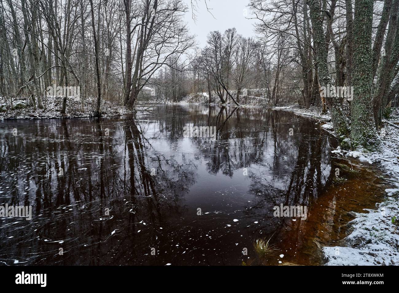 A tranquil winter scene featuring a peaceful pond nestled in a wooded ...