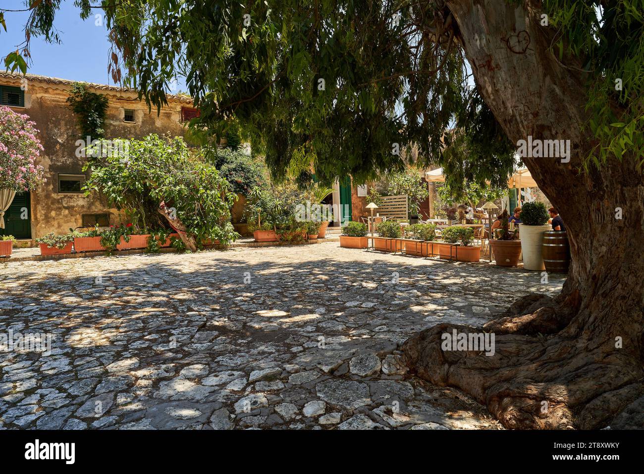 Central courtyard foliage hi-res stock photography and images - Alamy