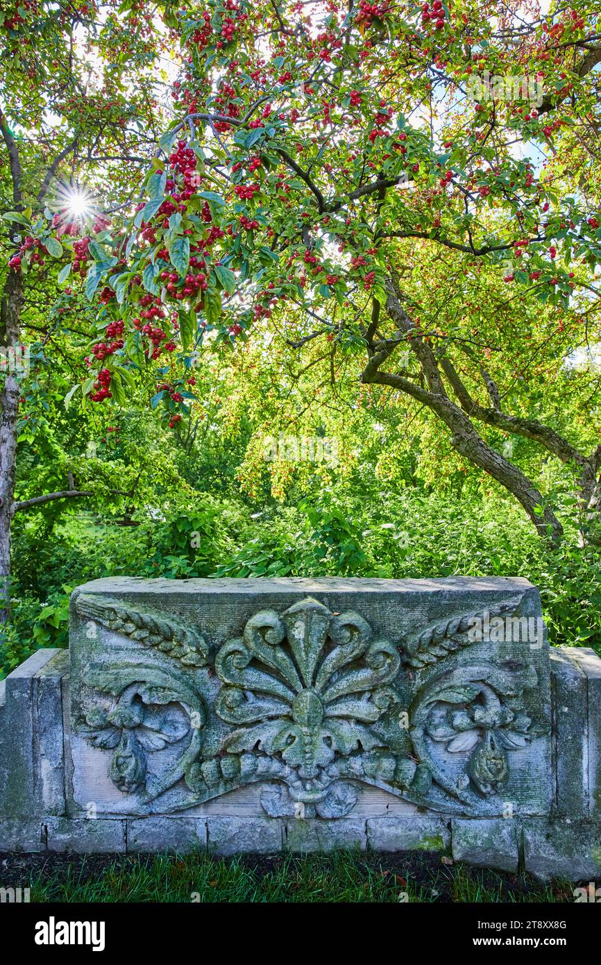 Medieval plaque with archaic symbols on stone below forbidden red fruit ...