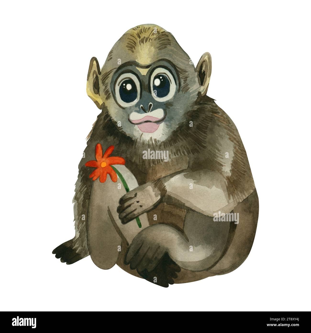 Watercolor illustration. Baby monkey drawn in watercolor on a white ...