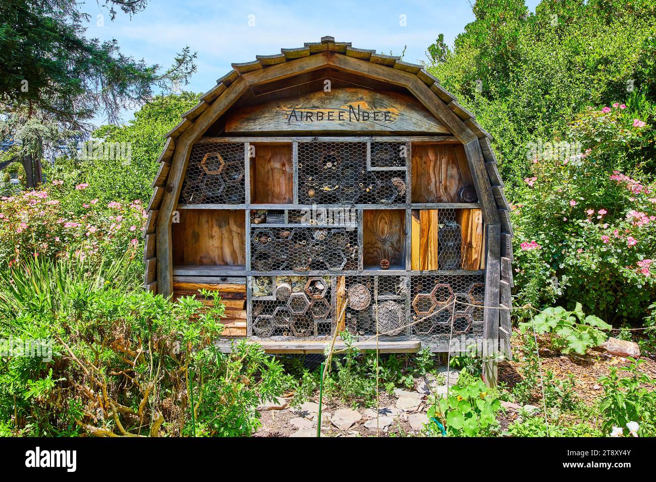 Air bee n bee hi-res stock photography and images - Alamy