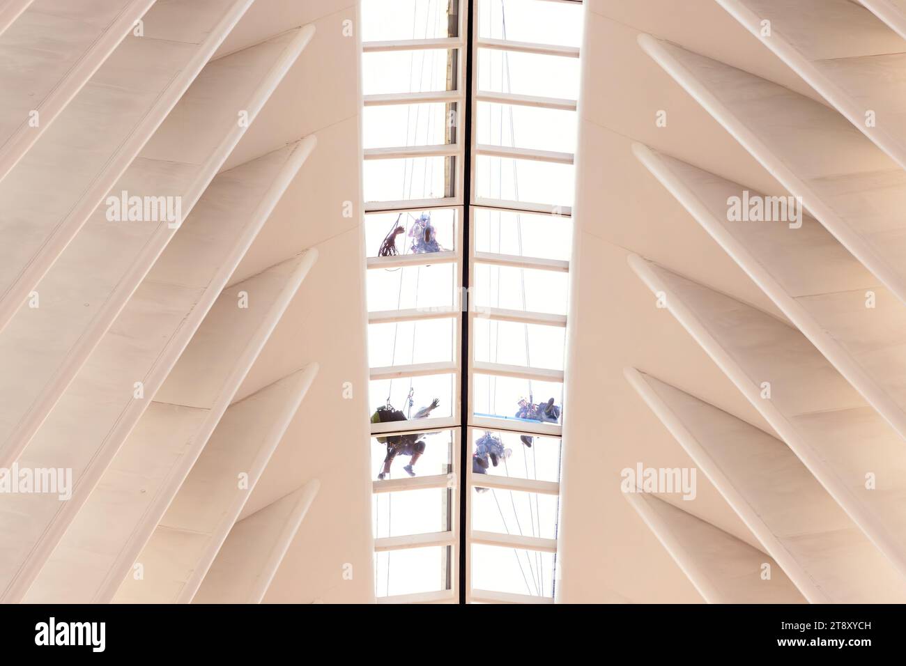 Window cleaning the rooflights at The Oculus transportation hub and ...