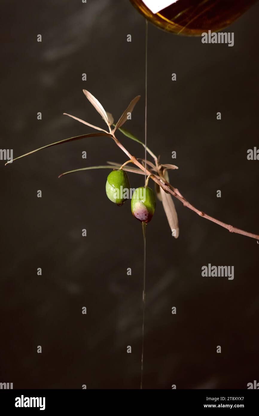 Two olives tree branches hi-res stock photography and images - Alamy