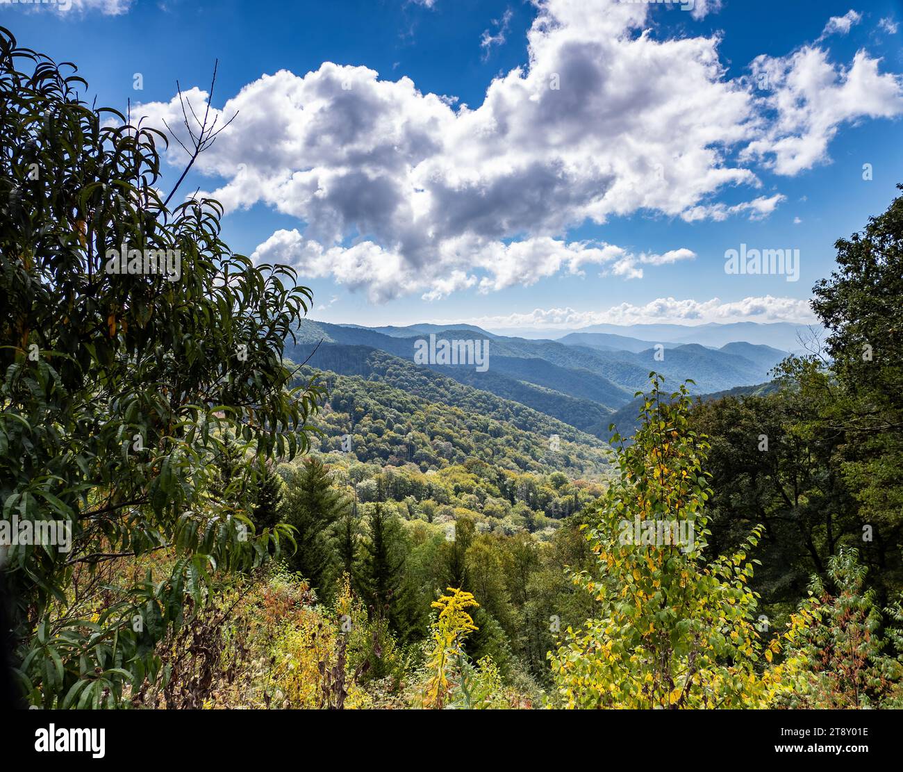 Parkway highlight hi-res stock photography and images - Alamy