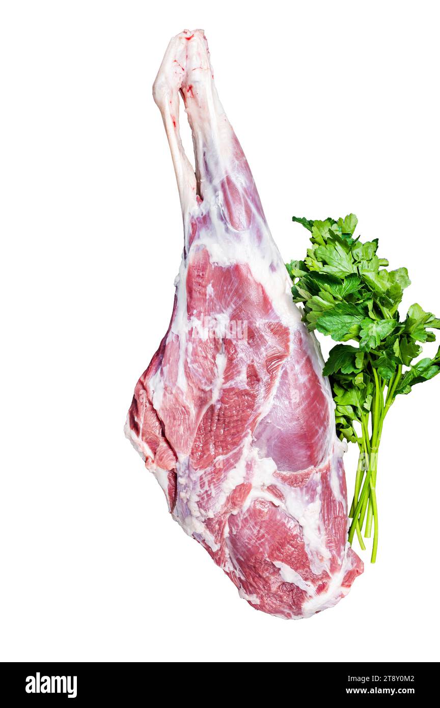 Ready for cooking raw lamb mutton leg with Thigh. Isolated, white ...