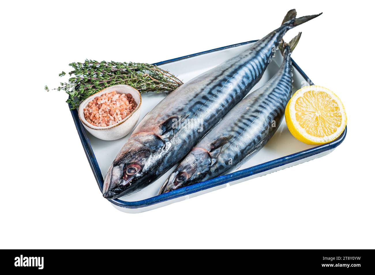 Raw mackerel scomber fish with ingredients for cooking in baking dish ...