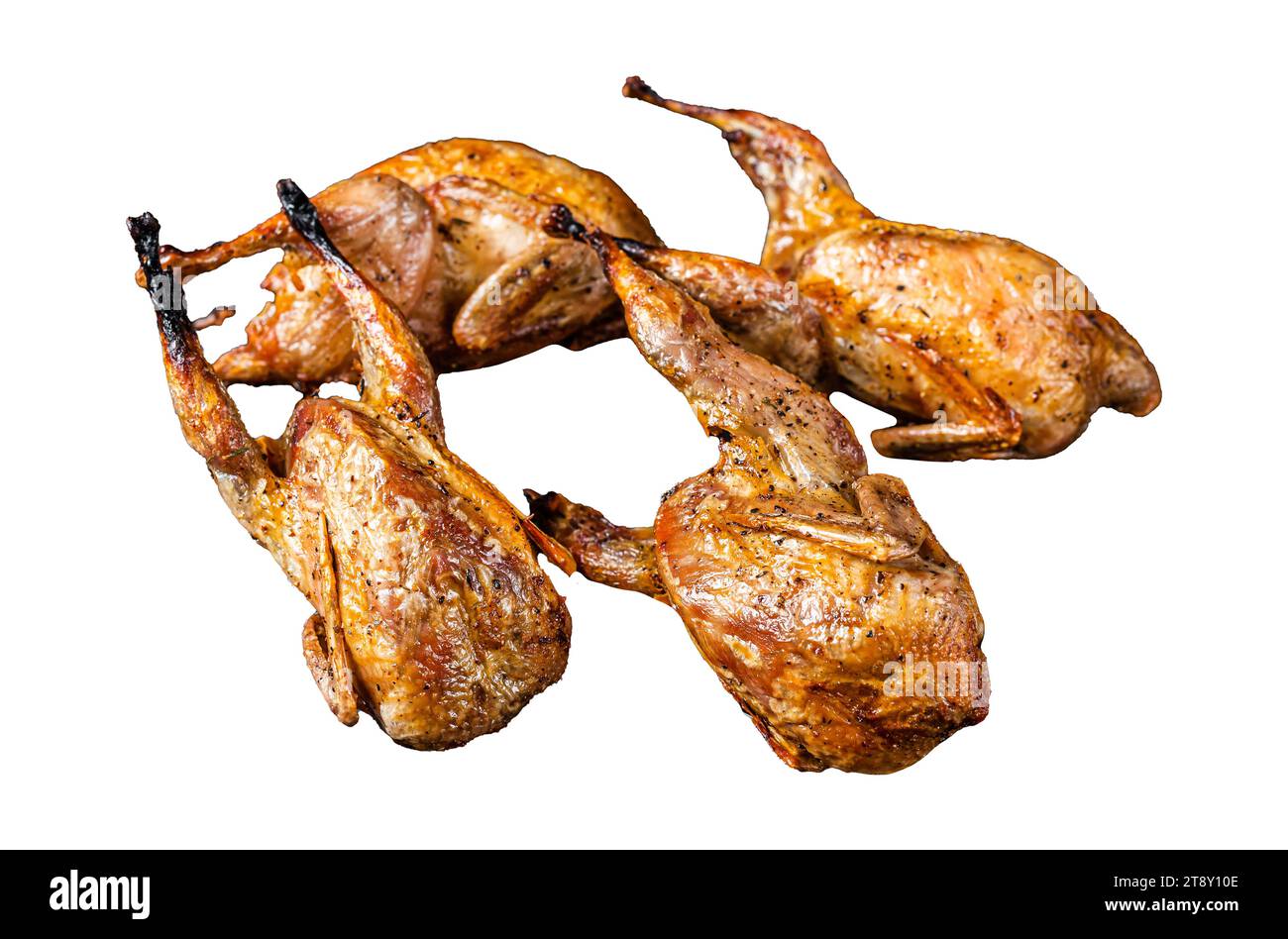 Grilled whole quails with herbs and spices. Isolated, white background ...