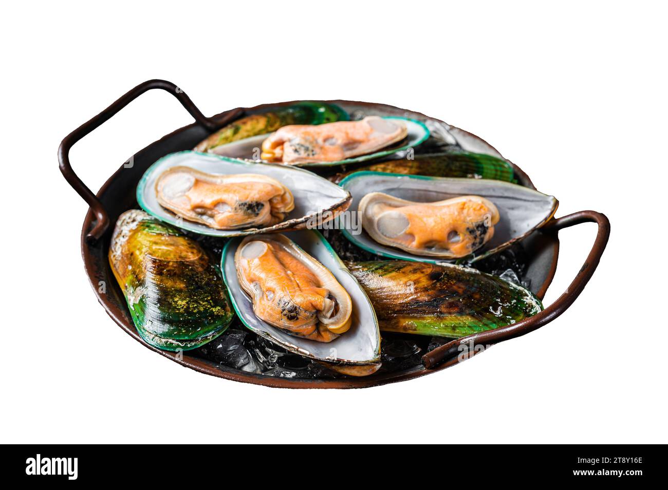 Large green mussels in shells on tray with ice. Isolated, white ...