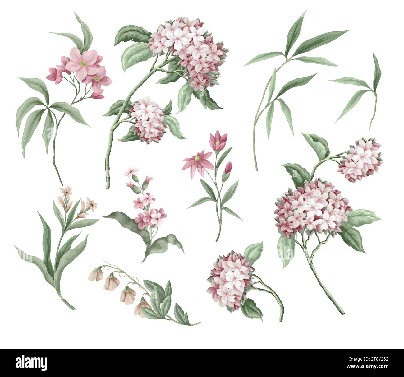 Pink wild flowers isolated. Vector Stock Vector Image & Art - Alamy