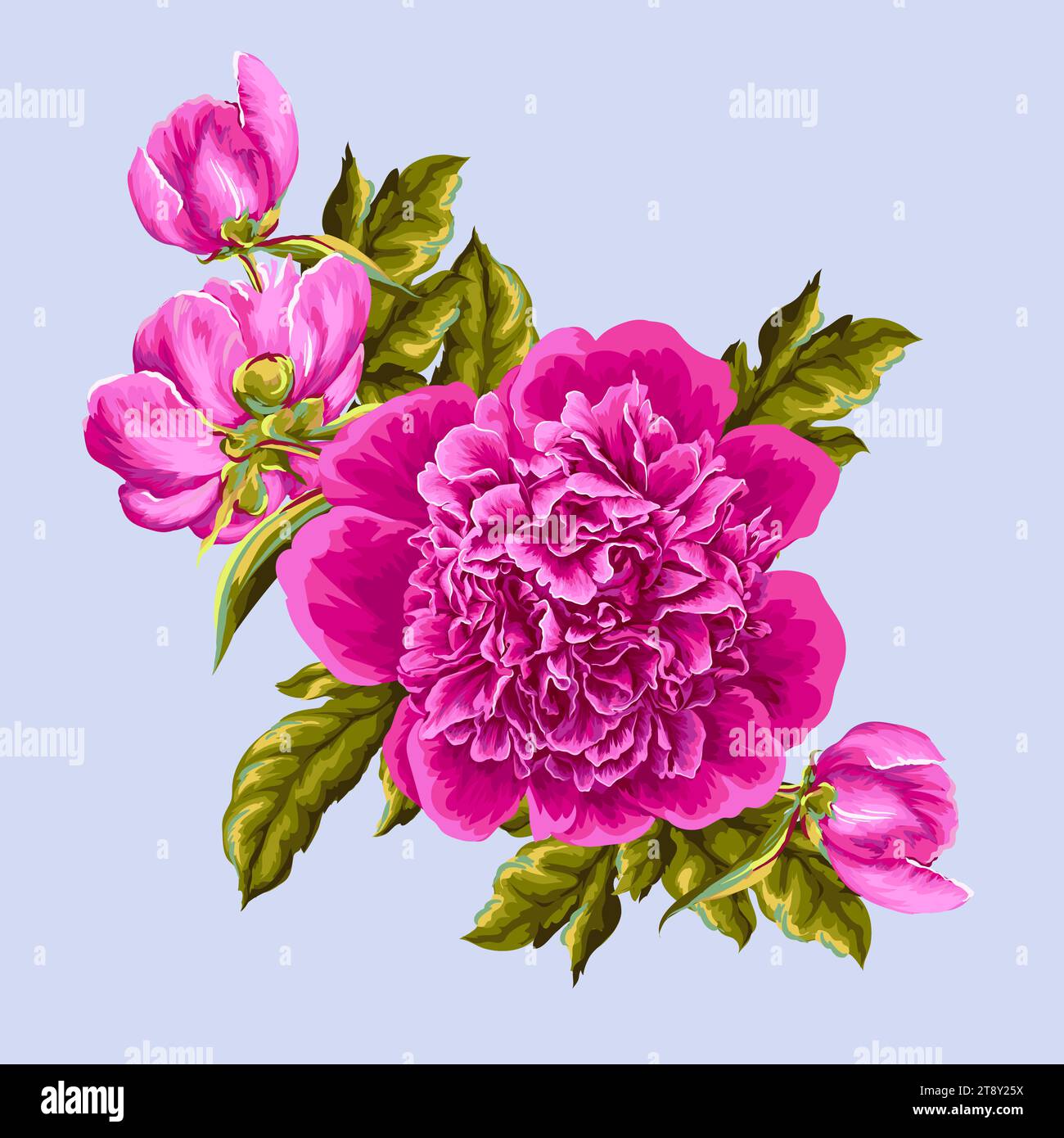 Realistic pink peony isolated. Vector Stock Vector Image & Art - Alamy