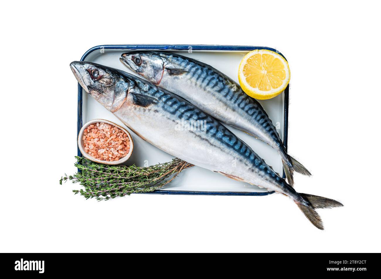 Raw mackerel scomber fish with ingredients for cooking in baking dish ...