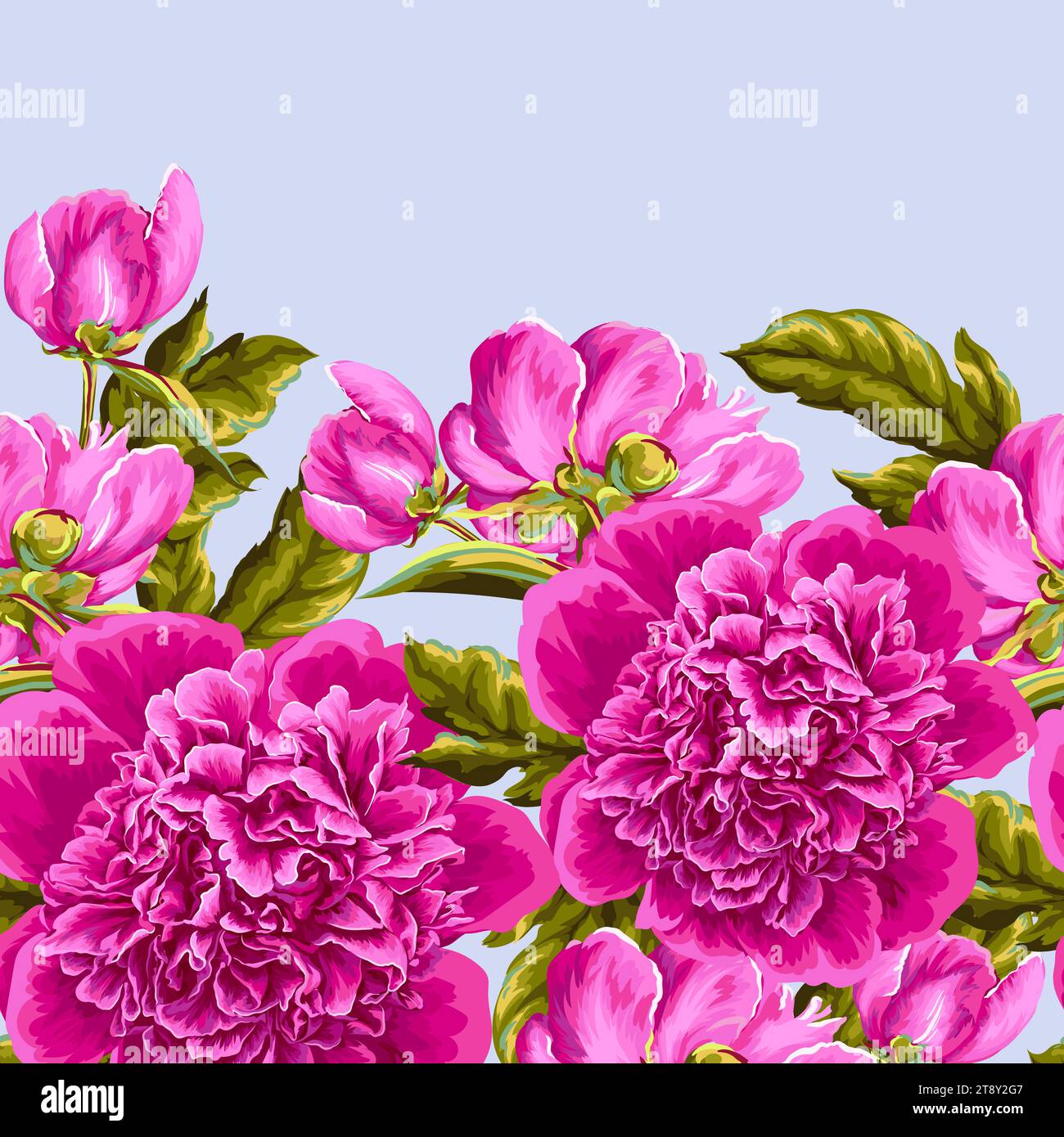 Border with realistic pink peonies. Vector Stock Vector Image & Art - Alamy