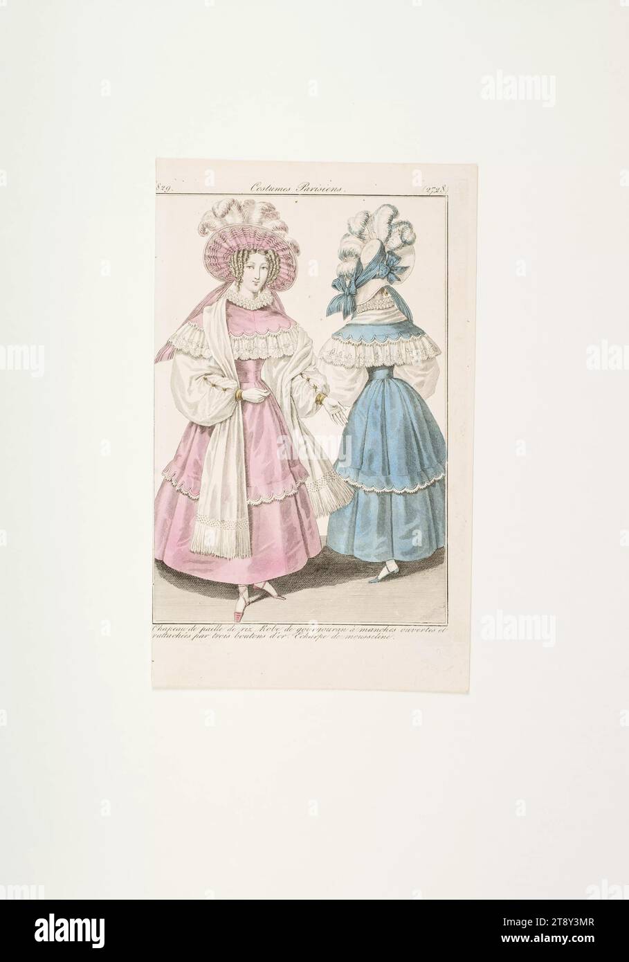 Fashion picture: Two figures, dresses in pink and blue with white ham ...