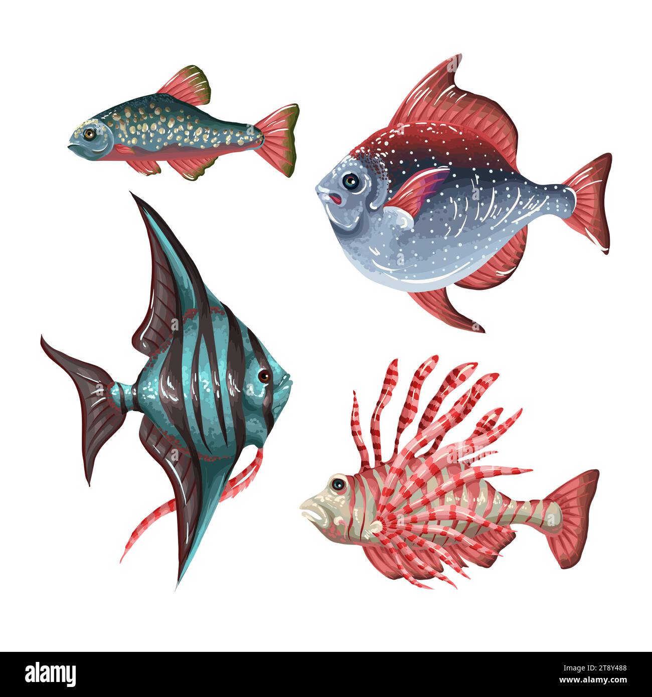 Set of the sea fishes isolated. Vector Stock Vector Image & Art - Alamy