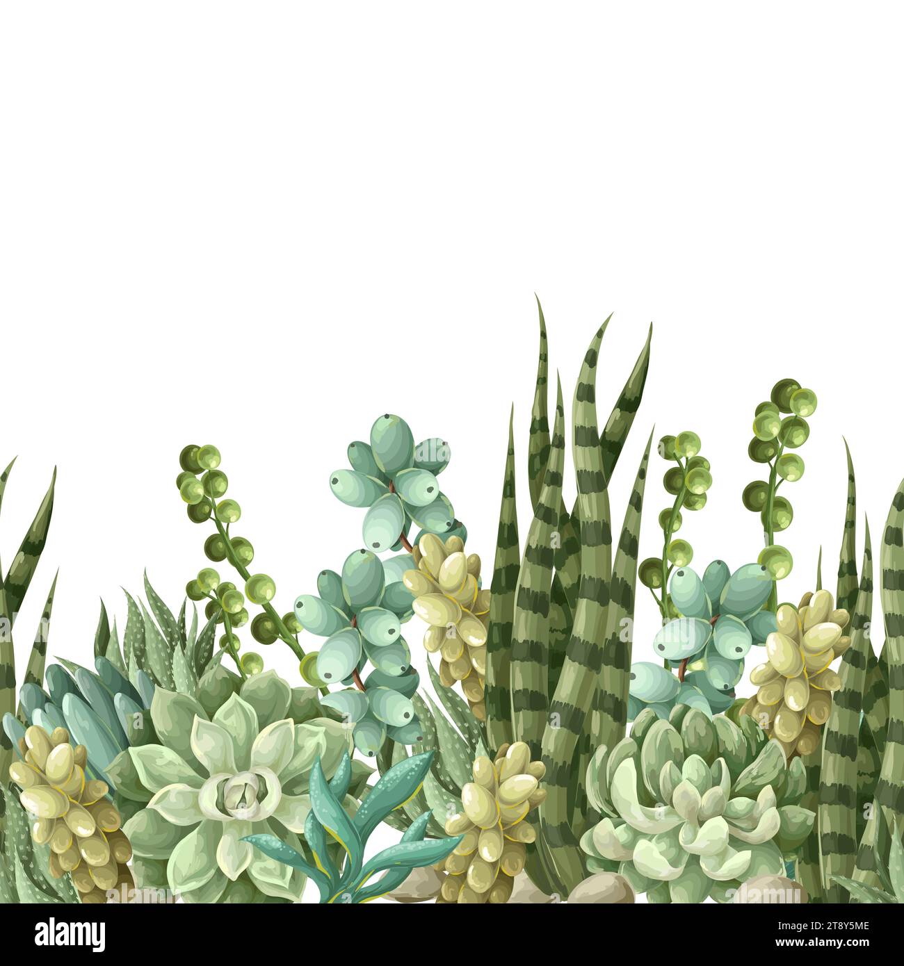 Decorative cacti arizona desert succulents hi-res stock photography and ...