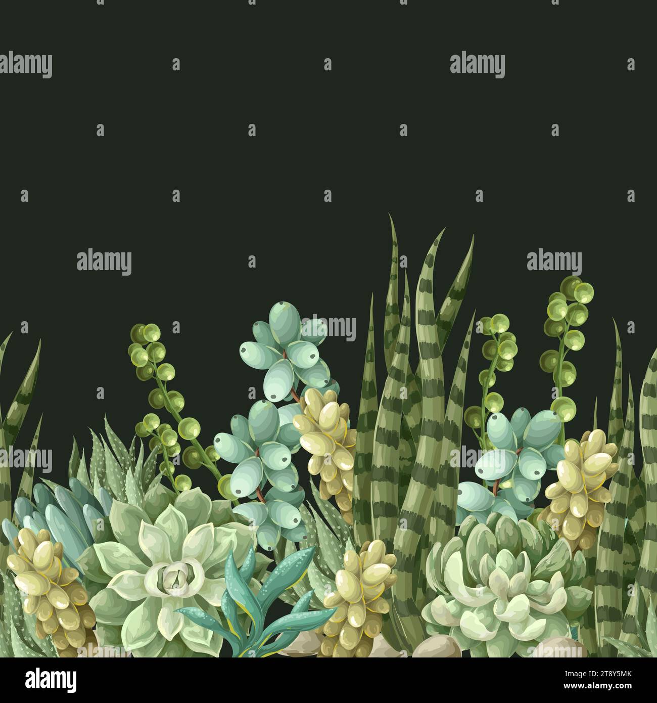 Border with succulents and cactus. Vector Stock Vector Image & Art - Alamy