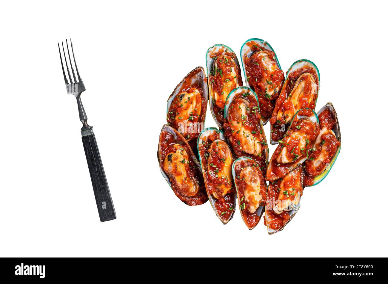 Large green mussels cooked in tomato sauce with garlic, parsley and ...