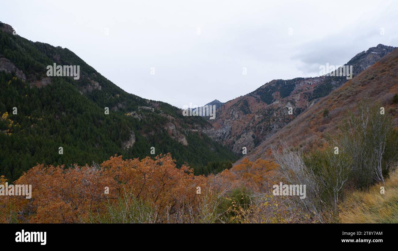 Utah Mountains in the Fall Stock Photo - Alamy