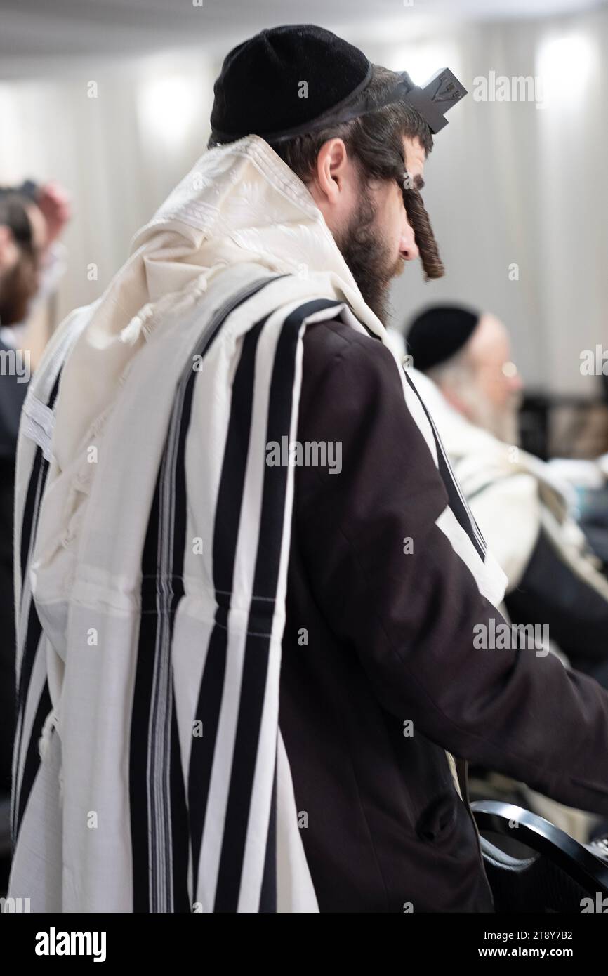 An orthodox Jewish man with long curly peyus at morning prayers in a ...