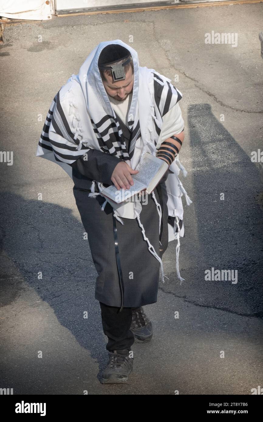 An orthodox Jewish man wearing a tallis (prayer shawl) and tefillin ...
