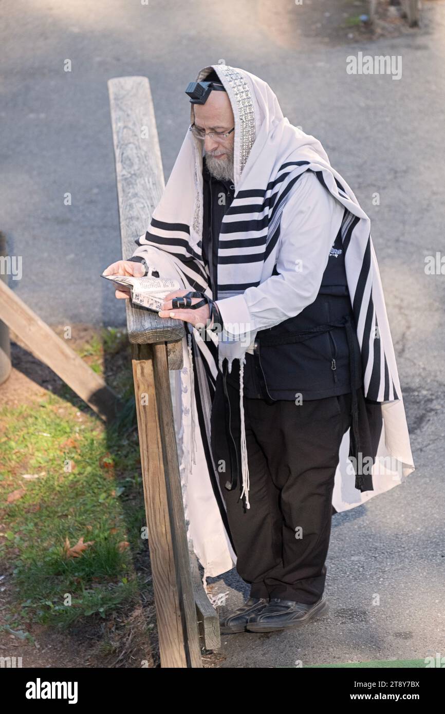 An orthodox Jewish man wearing a tallis (prayer shawl) and tefillin ...