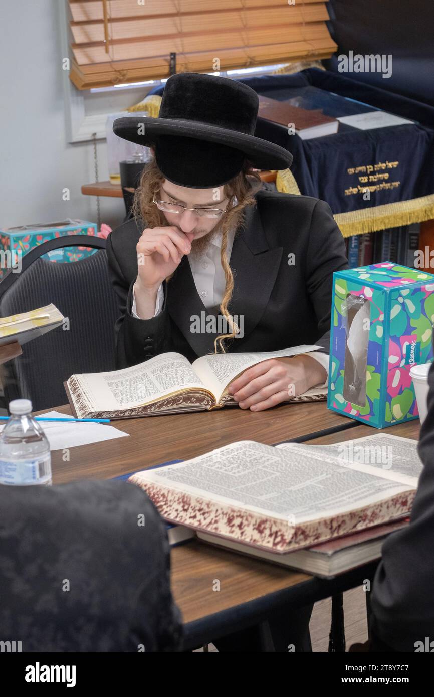CHAVRUSA. A young Jewish man with very long peyus studies Talmud in a ...