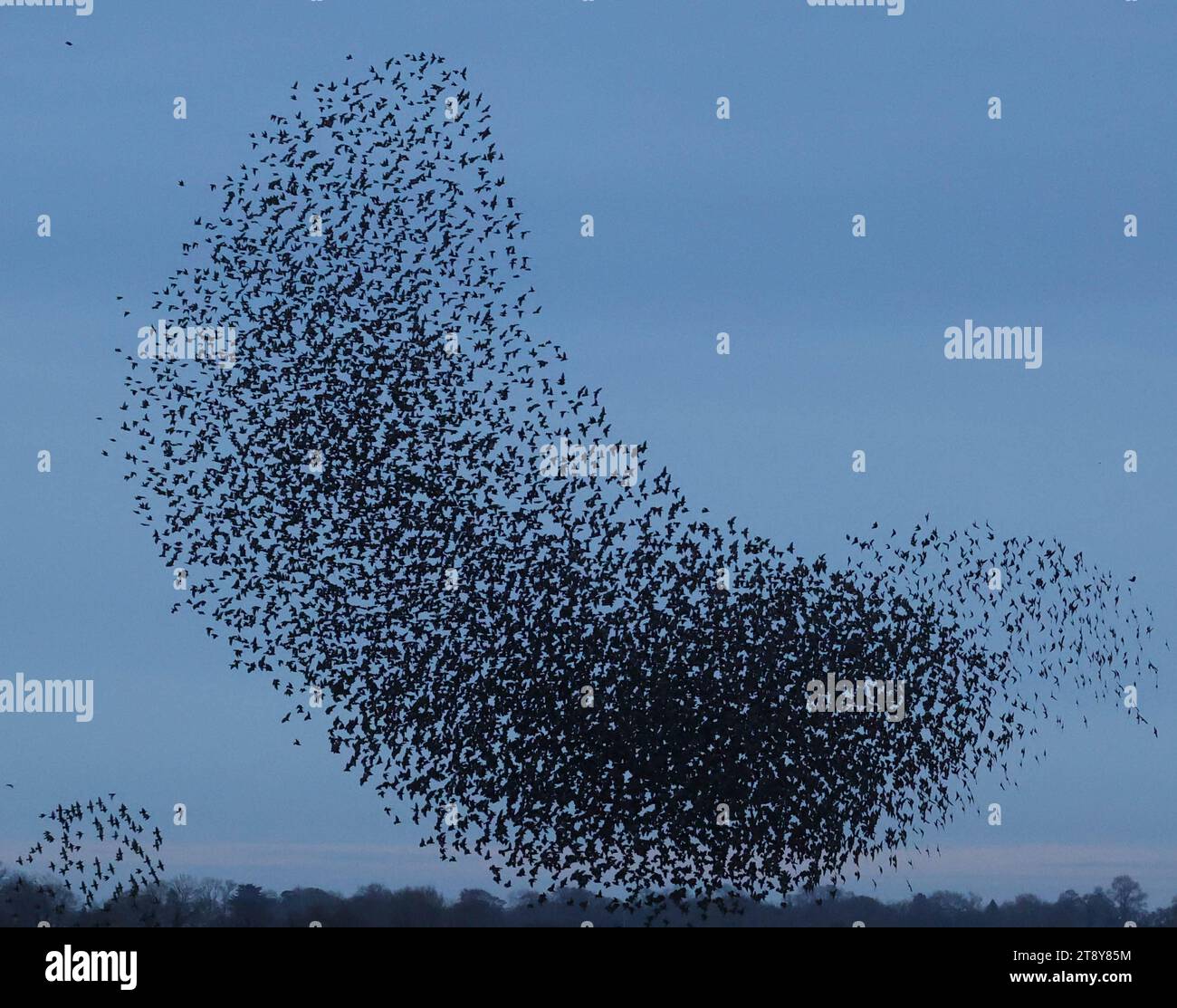Aghalee, County Antrim, Northern Ireland, UK. 21st Nov 2023. UK autumn ...
