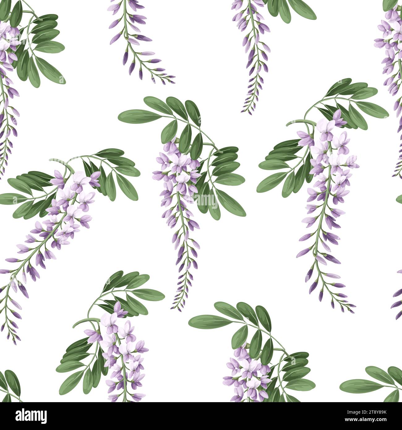 Seamless pattern with acacia flowers and leaves. Vector Stock Vector ...