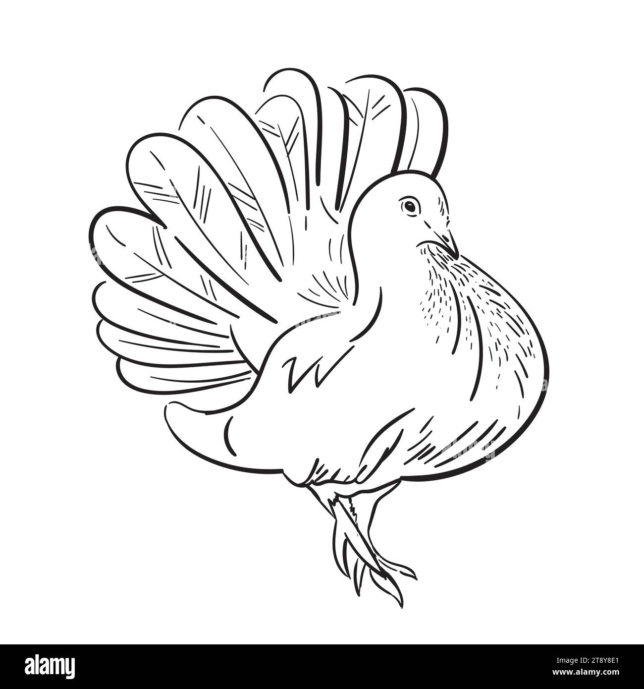 Realistic White decorative dove sketch illustration. doodle silhouette ...