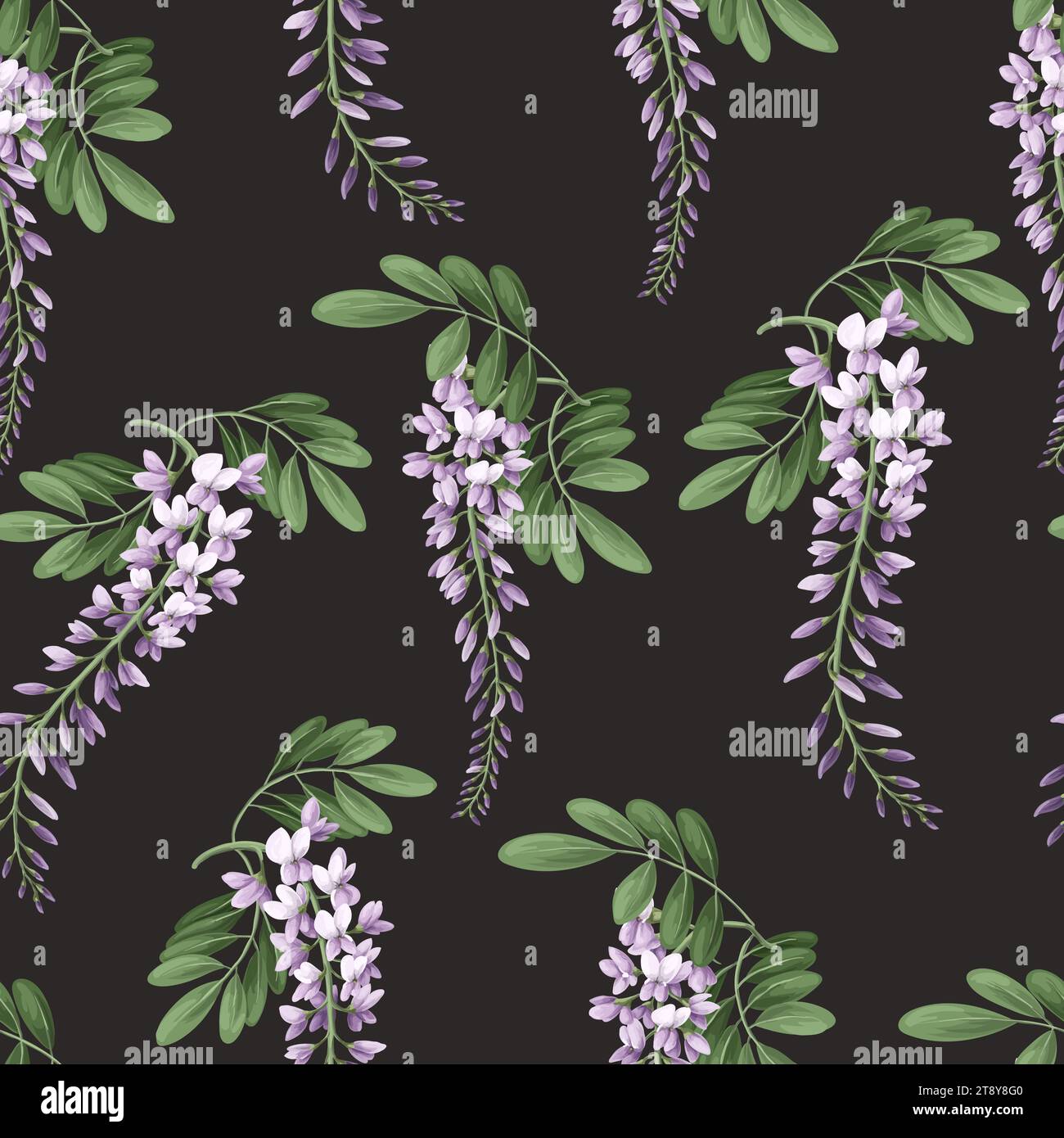 Acacia white flowers Stock Vector Images - Alamy