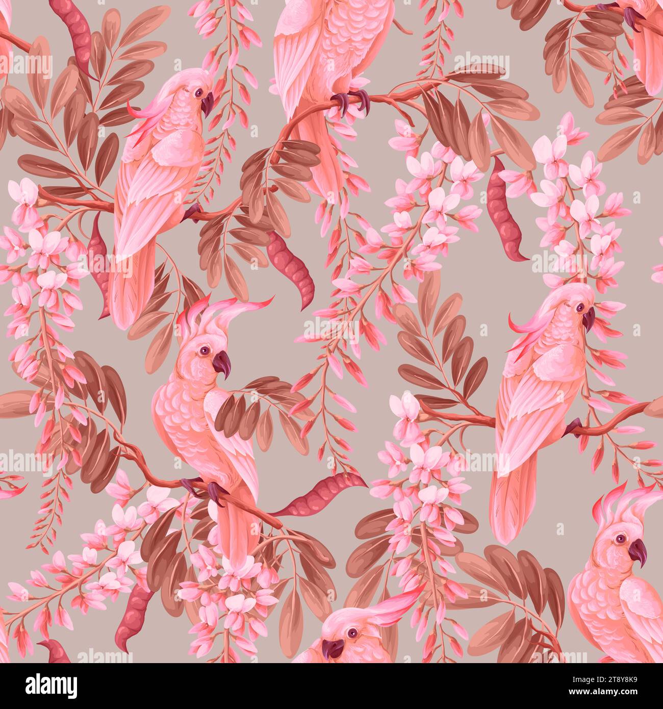 Seamless pattern with acacia flowers and parrots. Vector Stock Vector ...